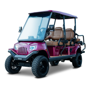 The 5 Biggest Golf Cart Communities in the U.S.! - Bright EV
