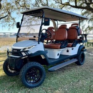 Golf Cart Review: What to Expect and What’s New for Evolution Golf Carts in 2025 - Bright EV